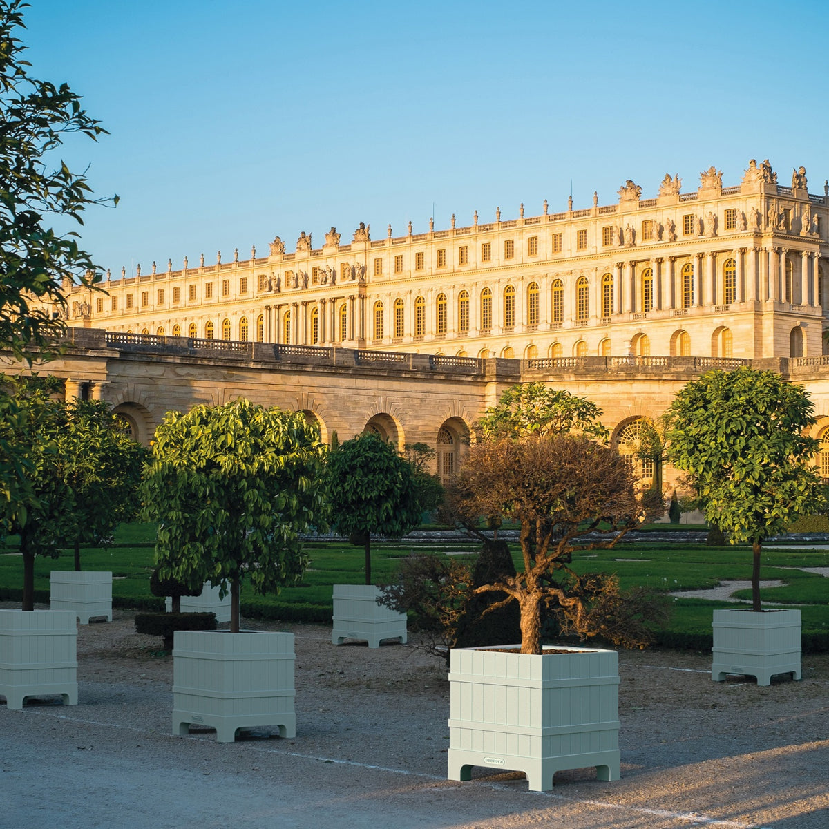 About Us – Serralunga